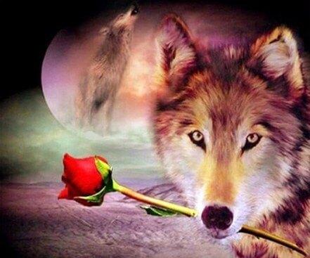 Red Rose & Wolf Painting Kit – Paint by Diamonds